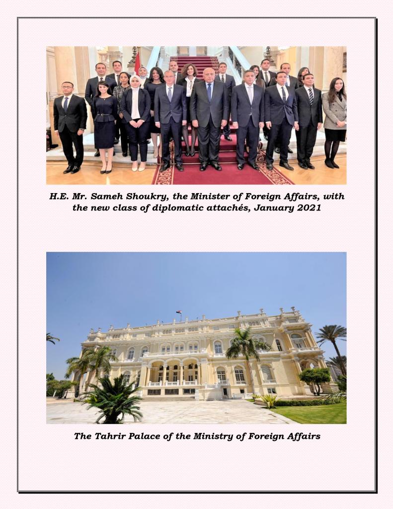 Brochure of the Institute for Diplomatic Studies – Egypt MFA Blog مدونة ...